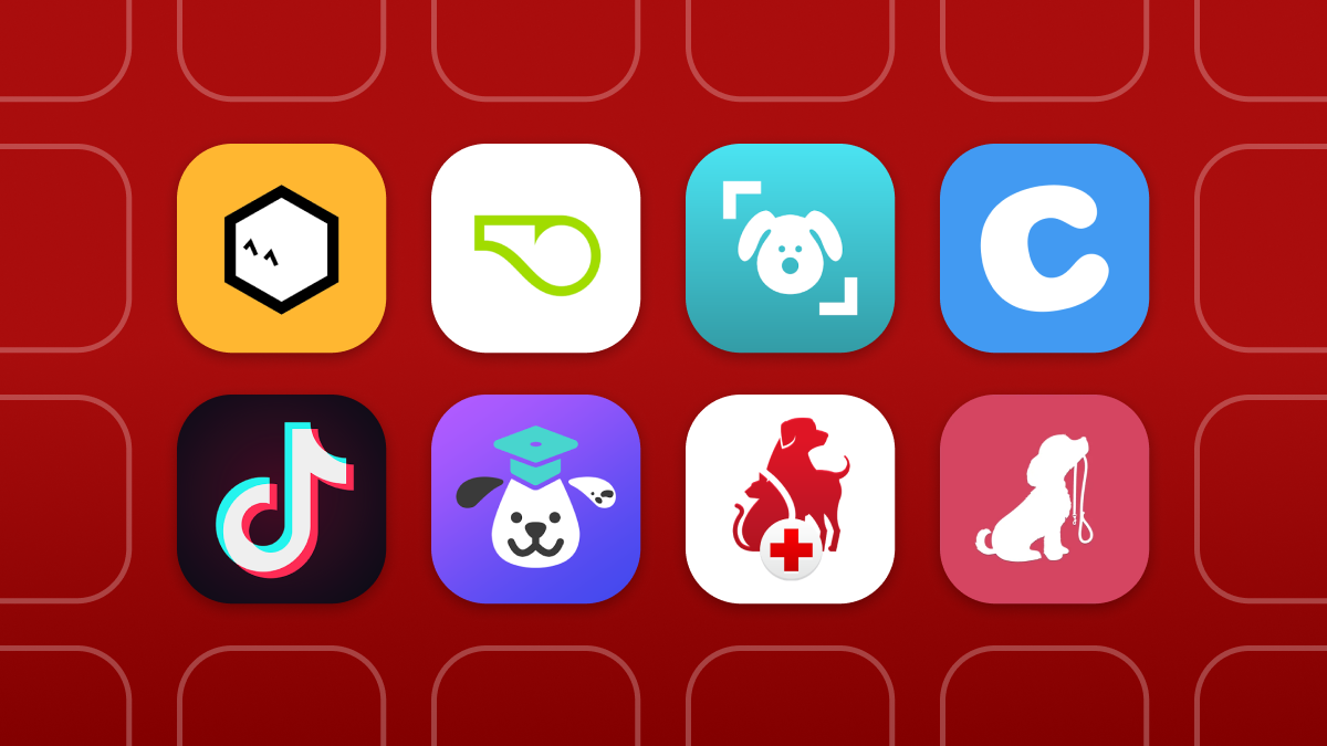 8 Best Apps For Dog Lovers and Pet Owners in 2021 | Fueled